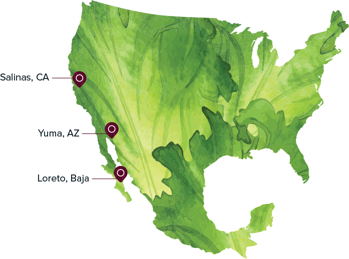 Growing Regions | Mann’s Fresh Vegetables – Canada