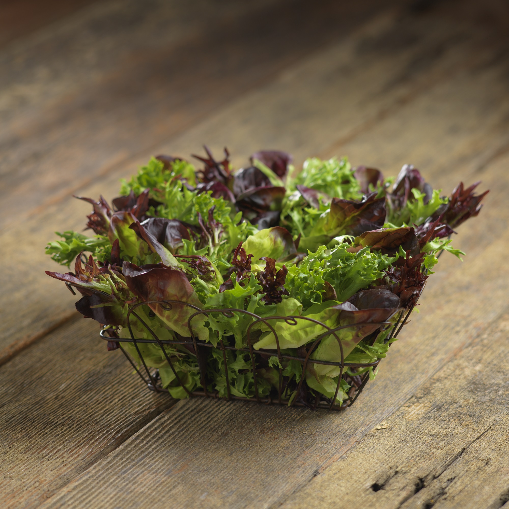 Arcadian Harvest® - Foodservice by Mann Packing