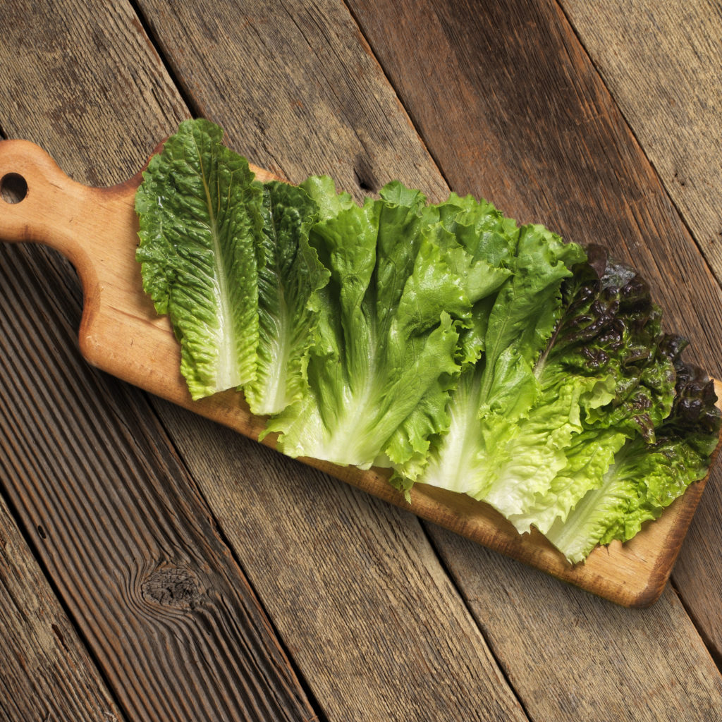 Simply Singles® - Foodservice by Mann Packing