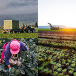 About Us - Foodservice by Mann Packing