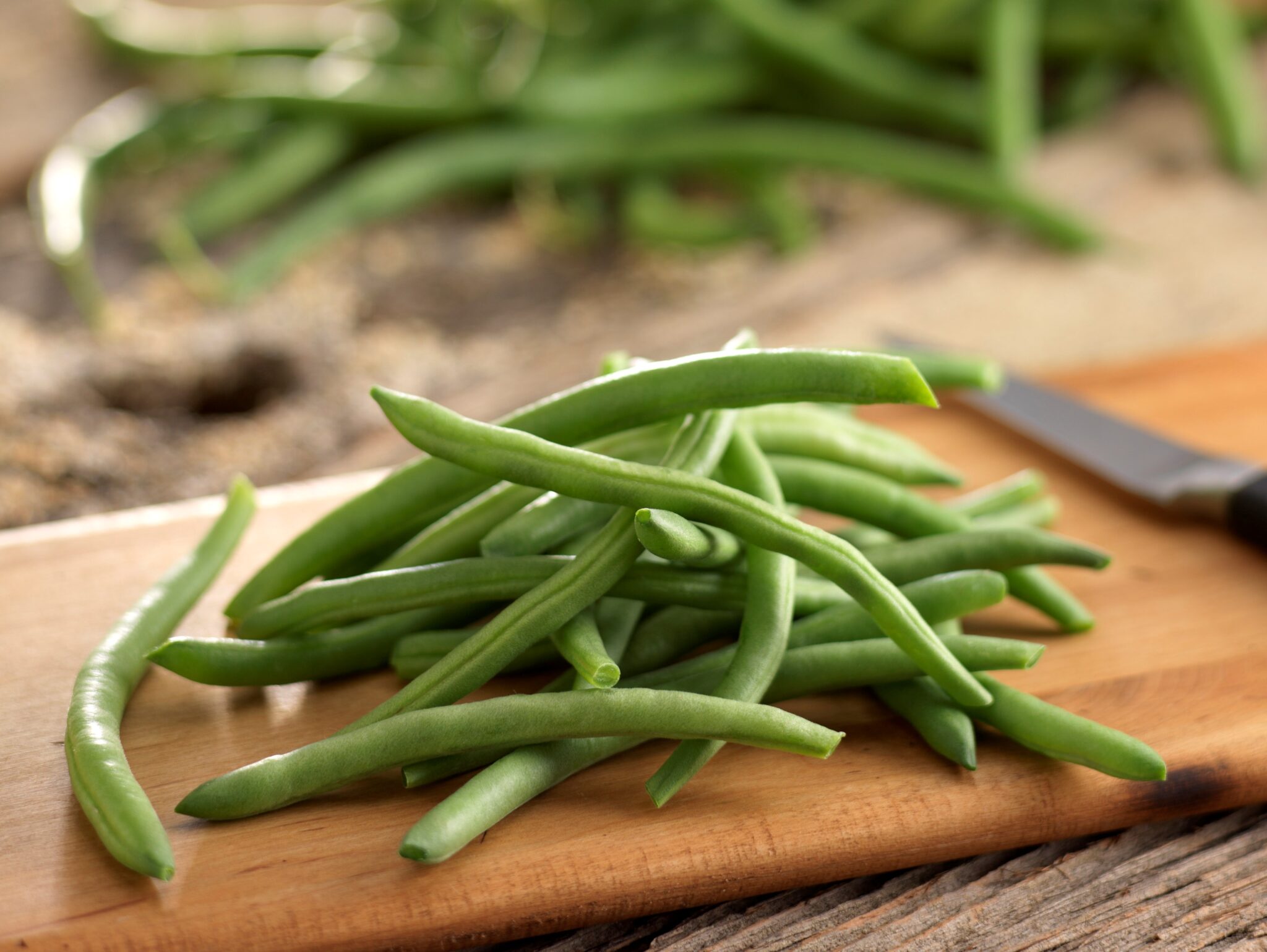 Green Beans - Foodservice by Mann Packing