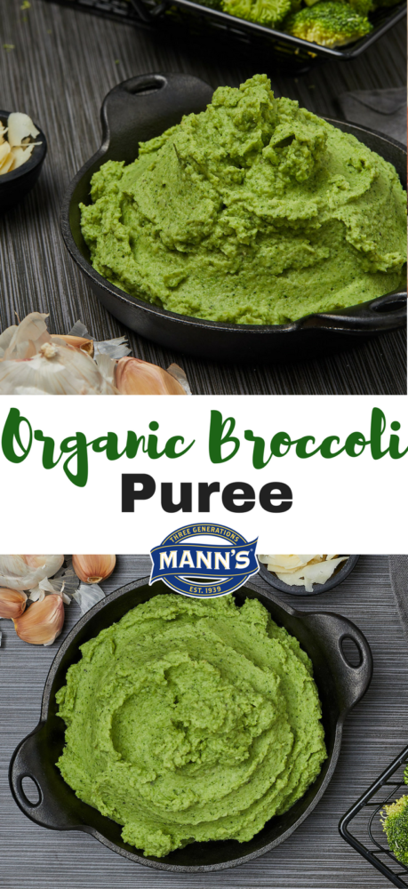 Organic Broccoli Puree - Mann's Fresh Vegetables