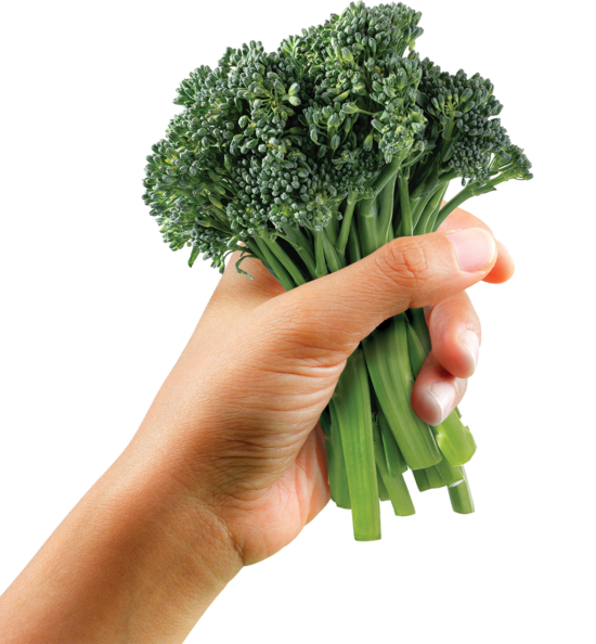 Real Manns Broccolini - Mann's Fresh Vegetables